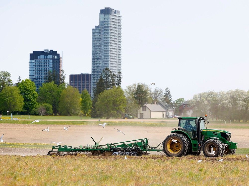 Turn the Central Experimental Farm into a boon for all of Ottawa ...