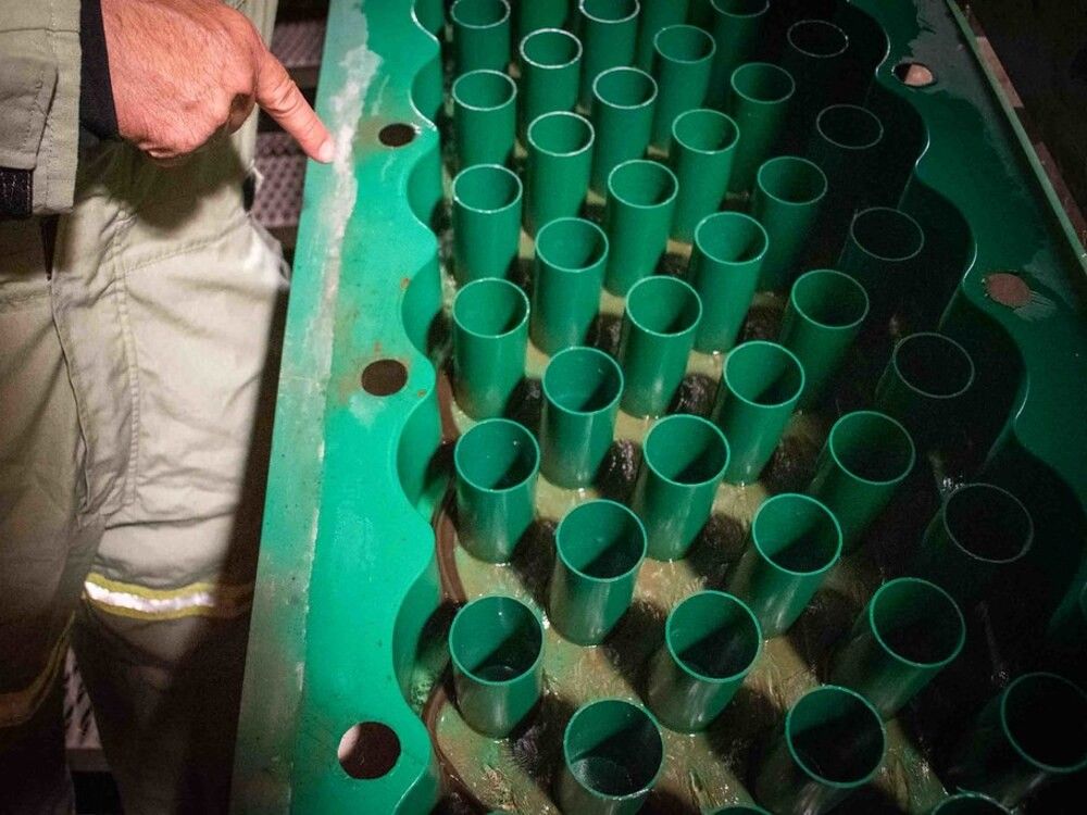 Ottawa Riverkeeper wants to help endangered American eel | Ottawa Citizen