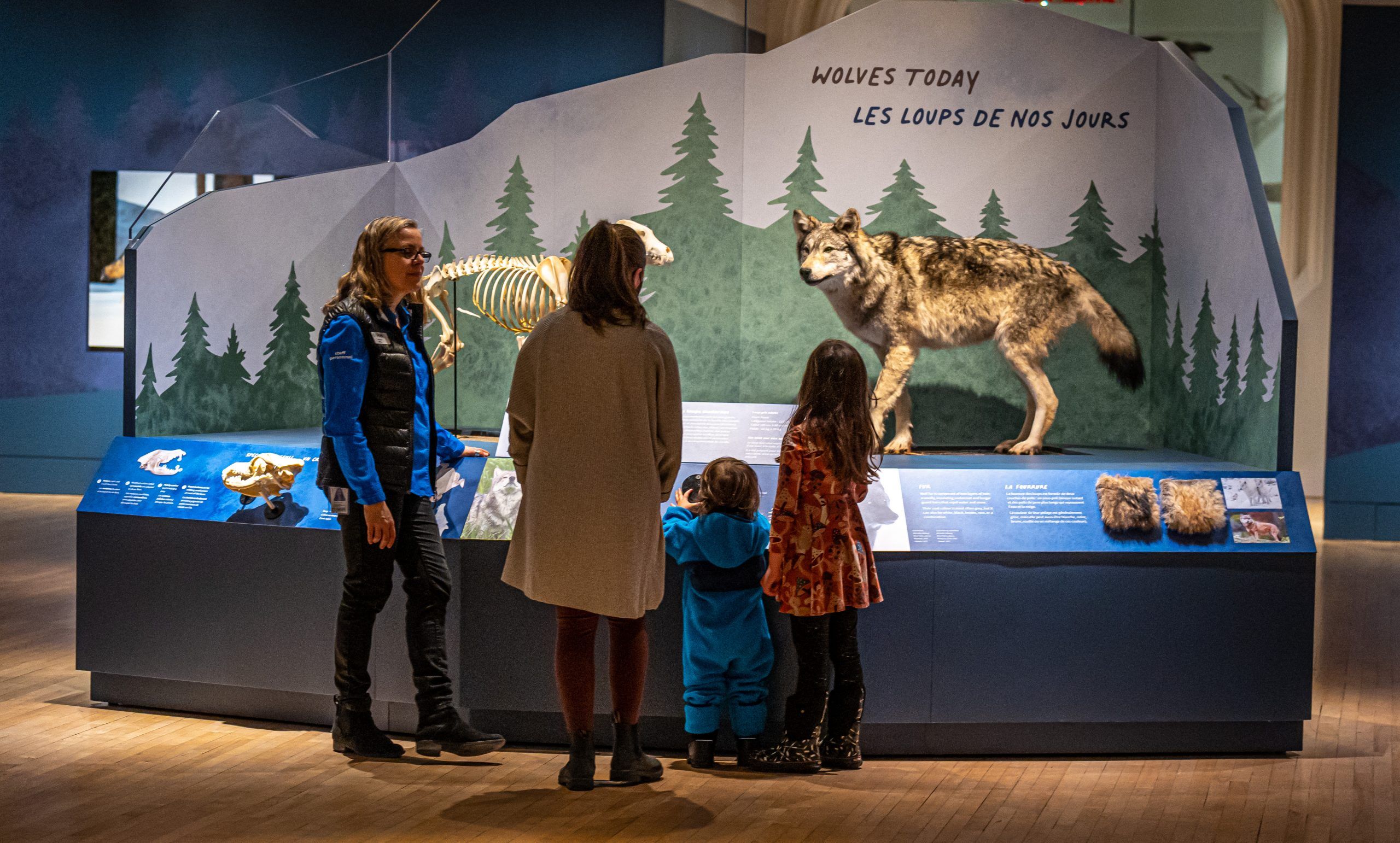 Amazing experiences in Canada's natural-history museum | Ottawa Citizen