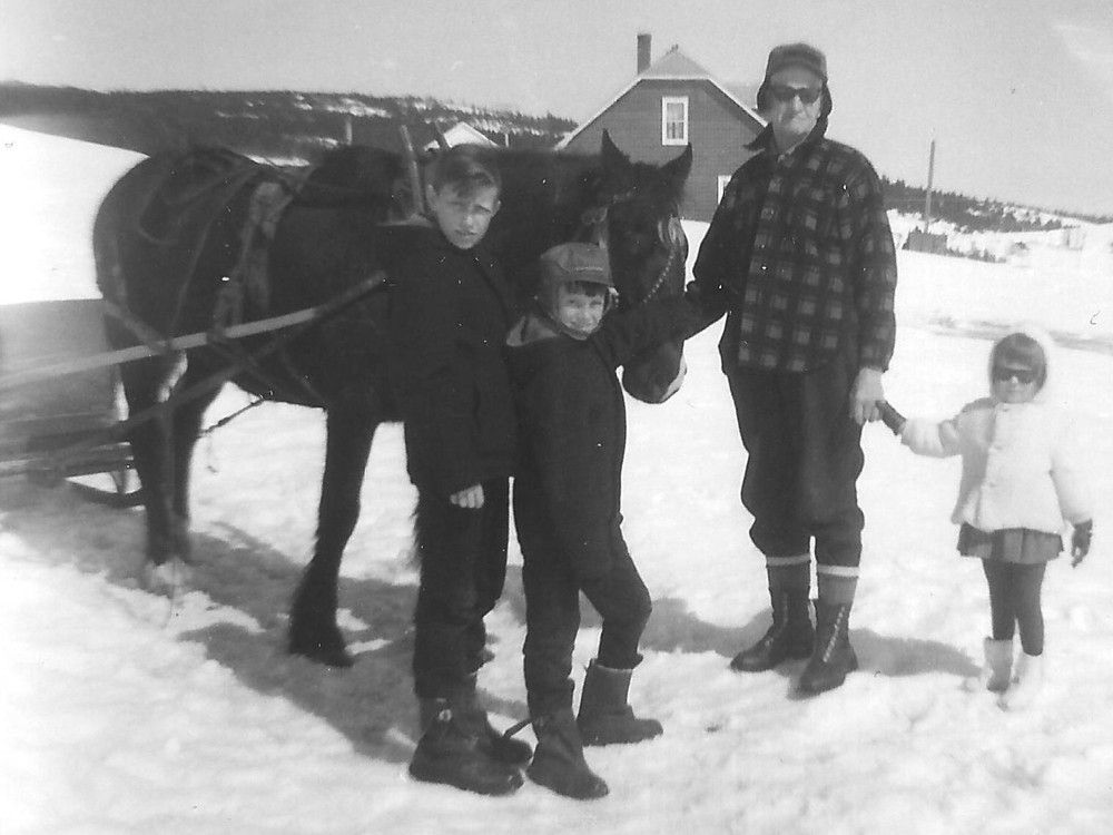 Simoneau: Memories of a horse, a sleigh and a Christmas tree | Ottawa ...