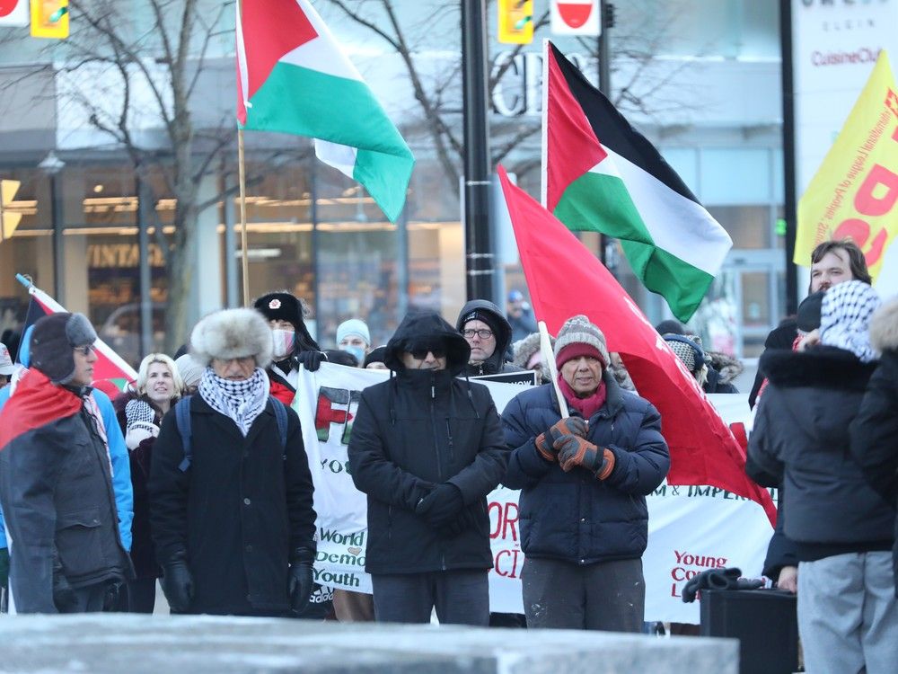 Pro-Palestinian rally marks 100 days since Israel began attacks ...