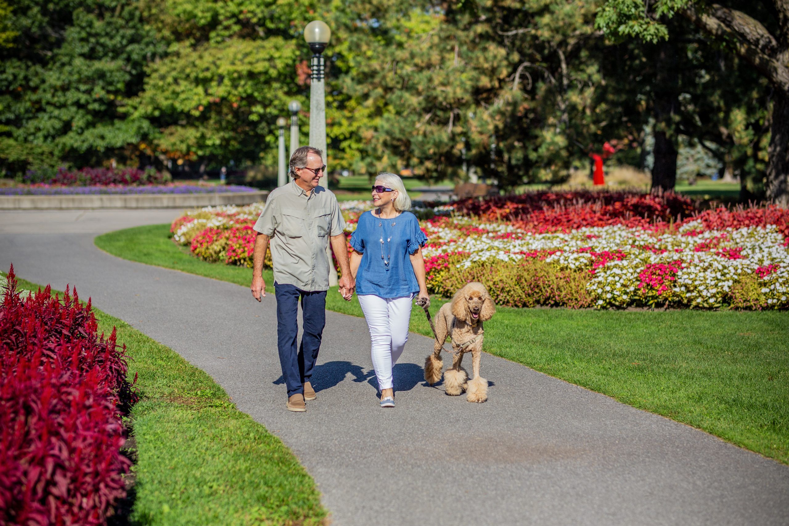 The Clemow: A community and lifestyle for renters aged 50 and up ...