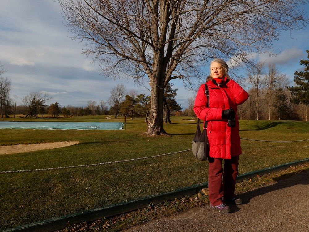 Hart: Perth needs appropriate growth, not growth for growth's sake ...