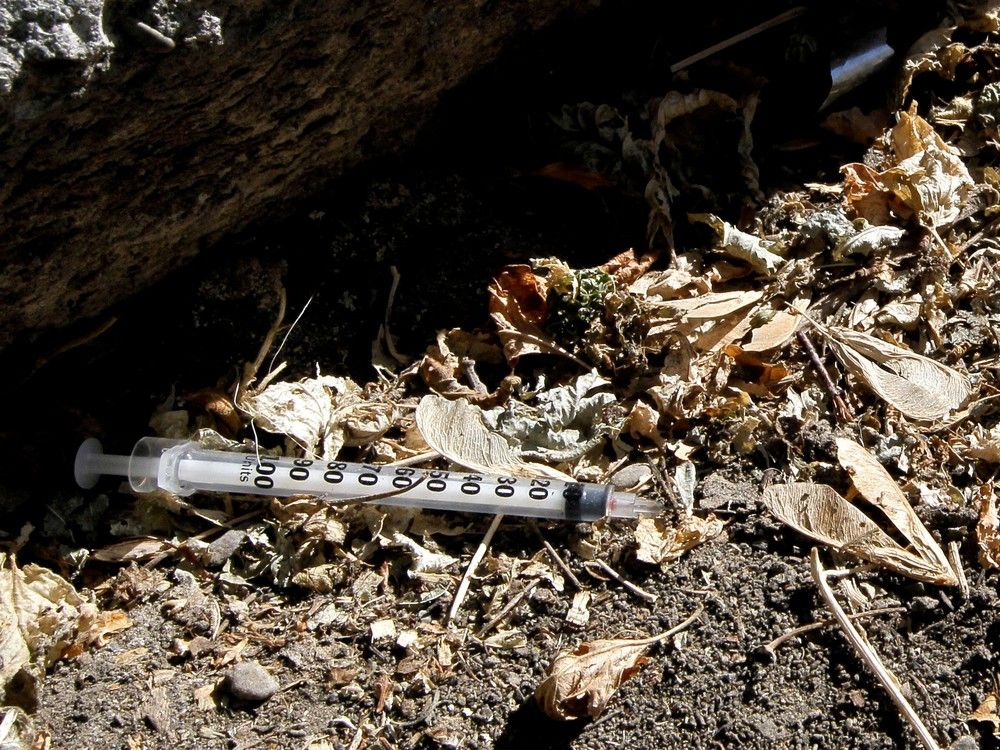 Drug debris: Tell us what's going on in your neighbourhood park ...