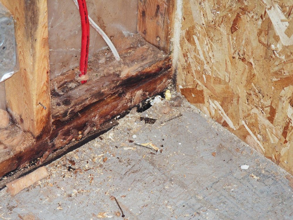 Basement walls the “lead water pipe” of 21st century | Ottawa Citizen