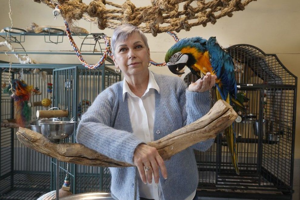 How animal lovers saved this Carleton Place parrot paradise | Ottawa ...