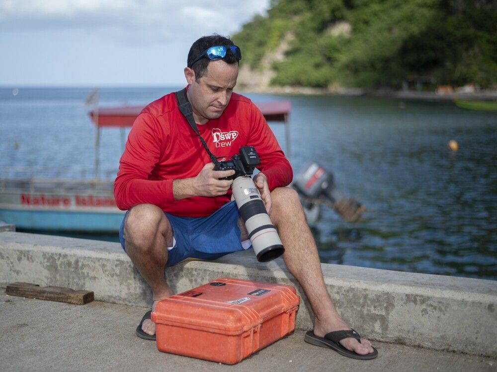 Carleton researcher helps decode the secret of sperm whale language ...