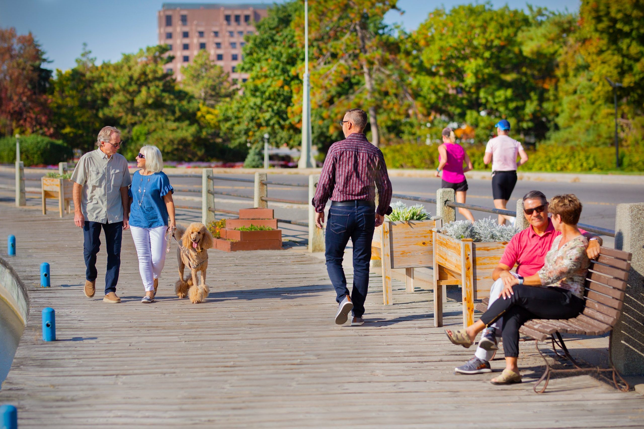 The ultimate guide to the Glebe starts at The Clemow | Ottawa Citizen