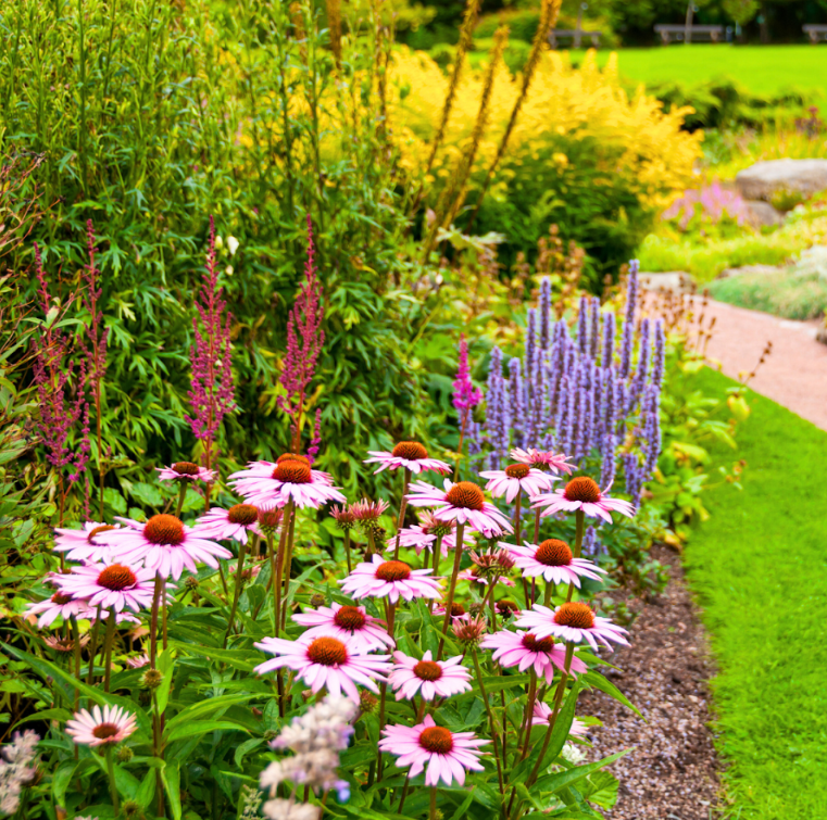 Planting native plants benefits more than just wildlife | Ottawa Citizen