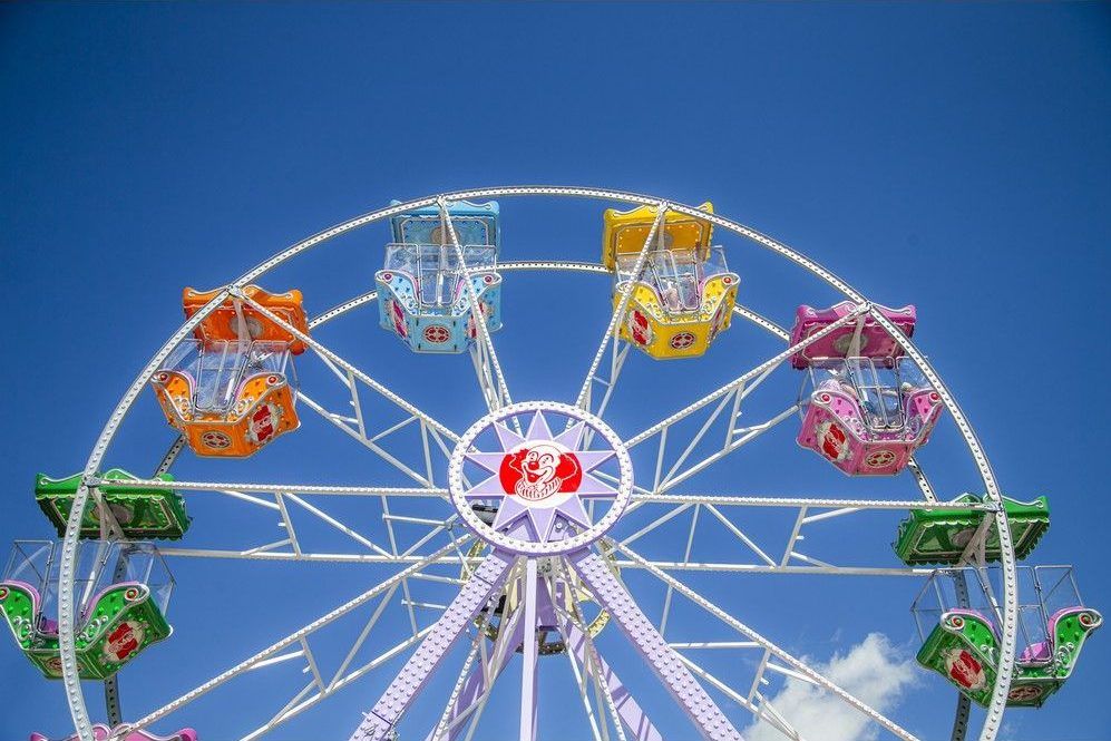 Navan Fair: miniature horses, Spider-Man and the Baking Queen | Ottawa ...