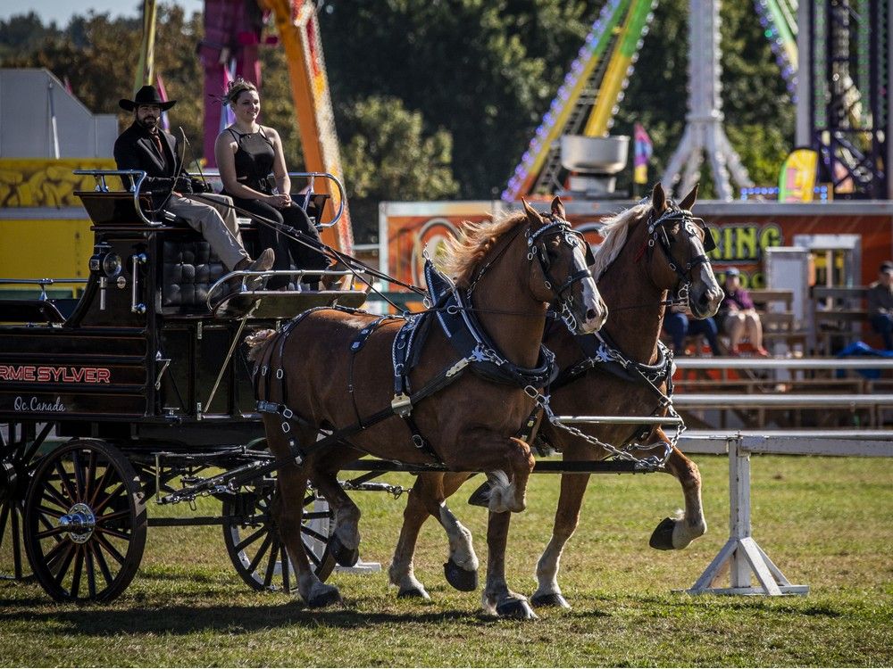 Photos: Carp Fair draws big crowd | Ottawa Citizen