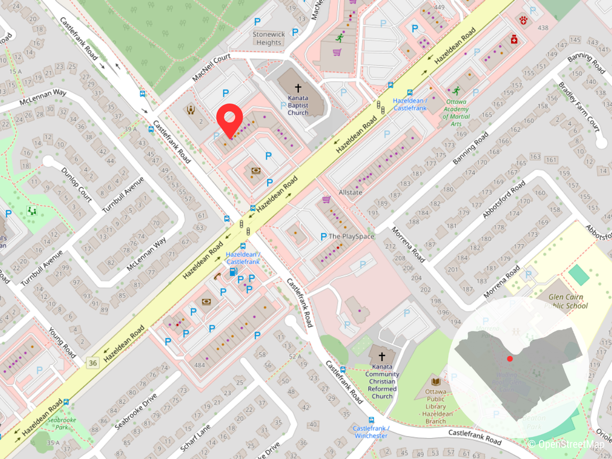 Ottawa police arson squad probing fire on Hazeldean Road | Ottawa Citizen