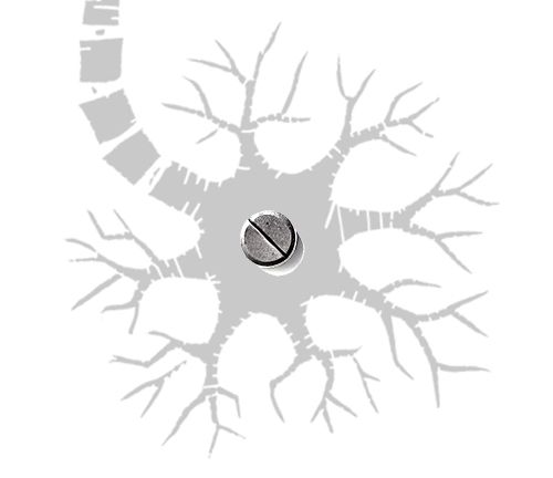 The opioid crisis has a 'hidden' brain injury epidemic | Ottawa Citizen