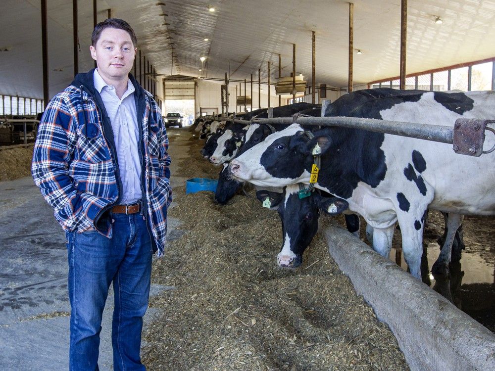 Denley: Ottawa's rural councillors need to show us some data | Ottawa ...