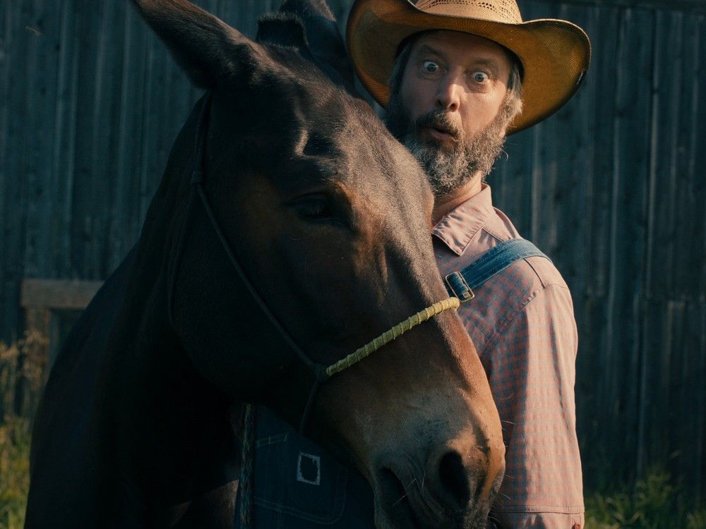 Tom Green's comeback showcases a older, wiser comedian | Ottawa Citizen