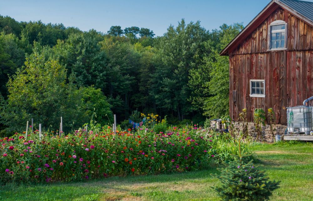 Hobby farmers flock to Ritchie Feed & Seed for their expert advice ...