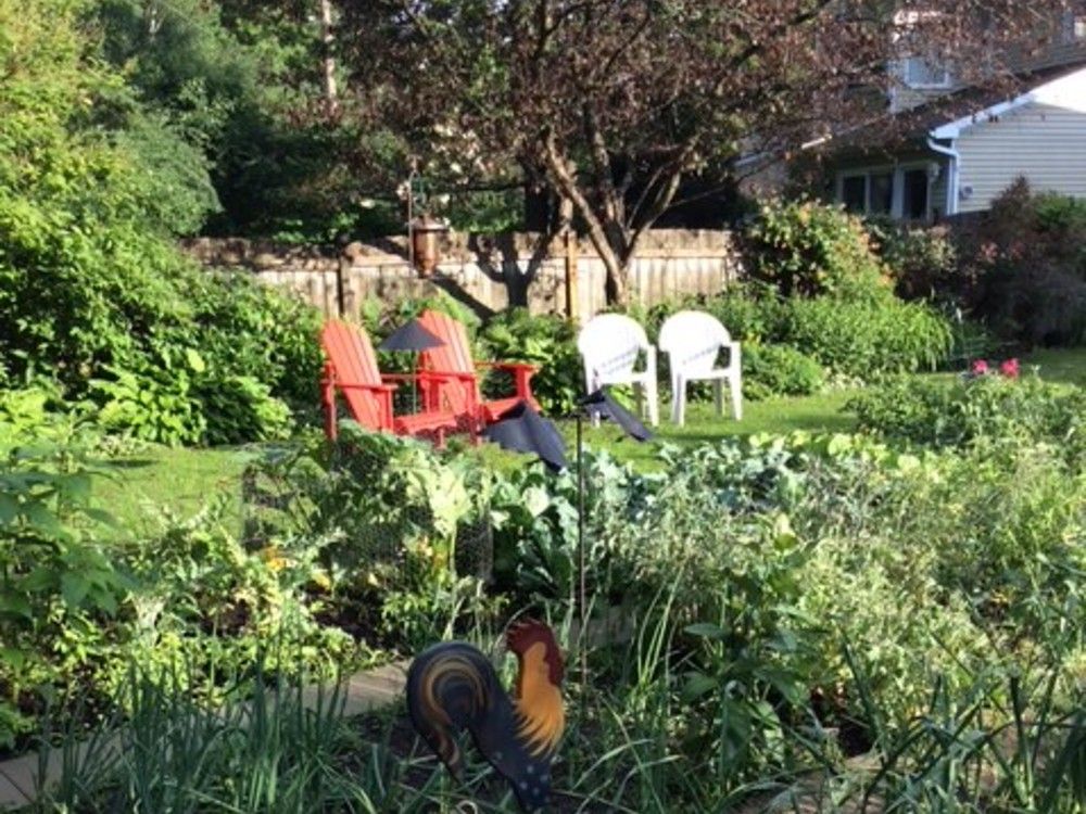 Growing your own garlic | Ottawa Citizen