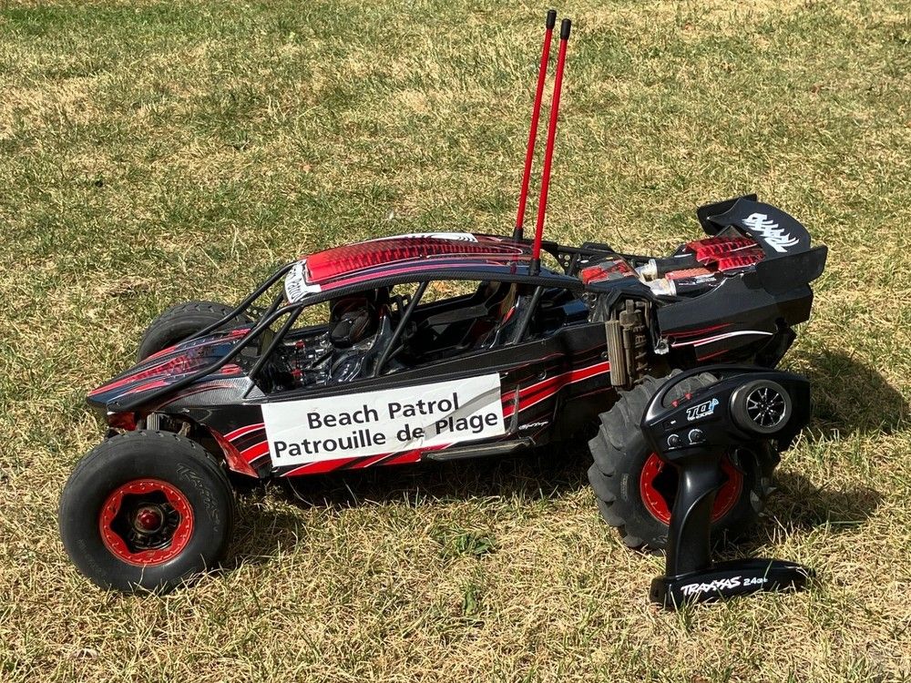 Canada Geese are ruining Mooney's Bay Beach. Will a toy car help ...