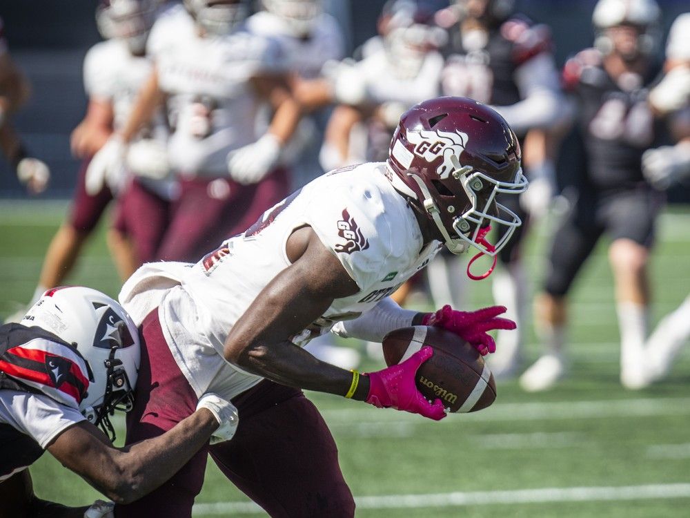 Ottawa university students flood TD Place for annual Panda Game ...