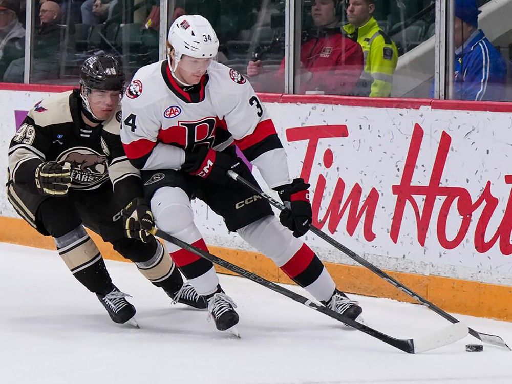 Ottawa Senators rookie Stephen Halliday to make NHL debut in Anaheim ...