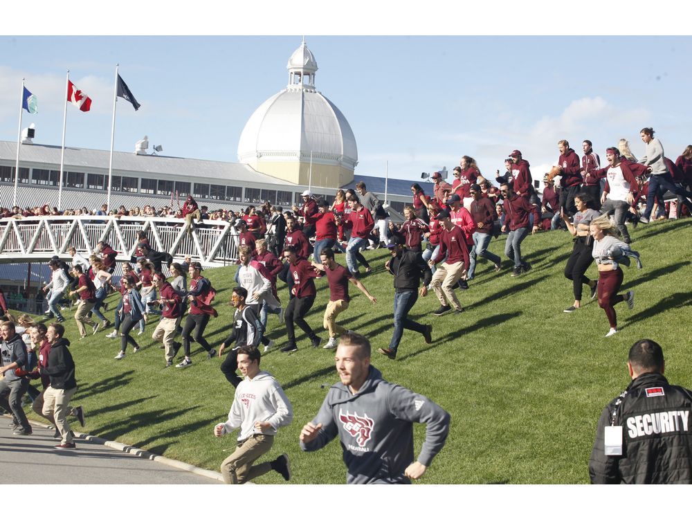 Photos: Gee-Gees defeat Ravens 38-27 in 50th Panda Game | Ottawa Sun