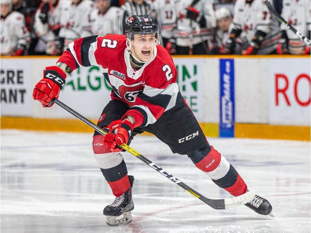 Ottawa 67's Noel Hoefenmayer is named the CHL's top defenceman | Ottawa Sun