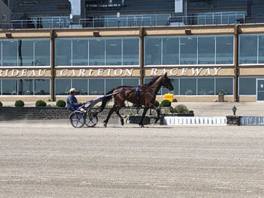 Rideau Carleton Raceway hosts Ontario Sires Stakes ... with some fans ...