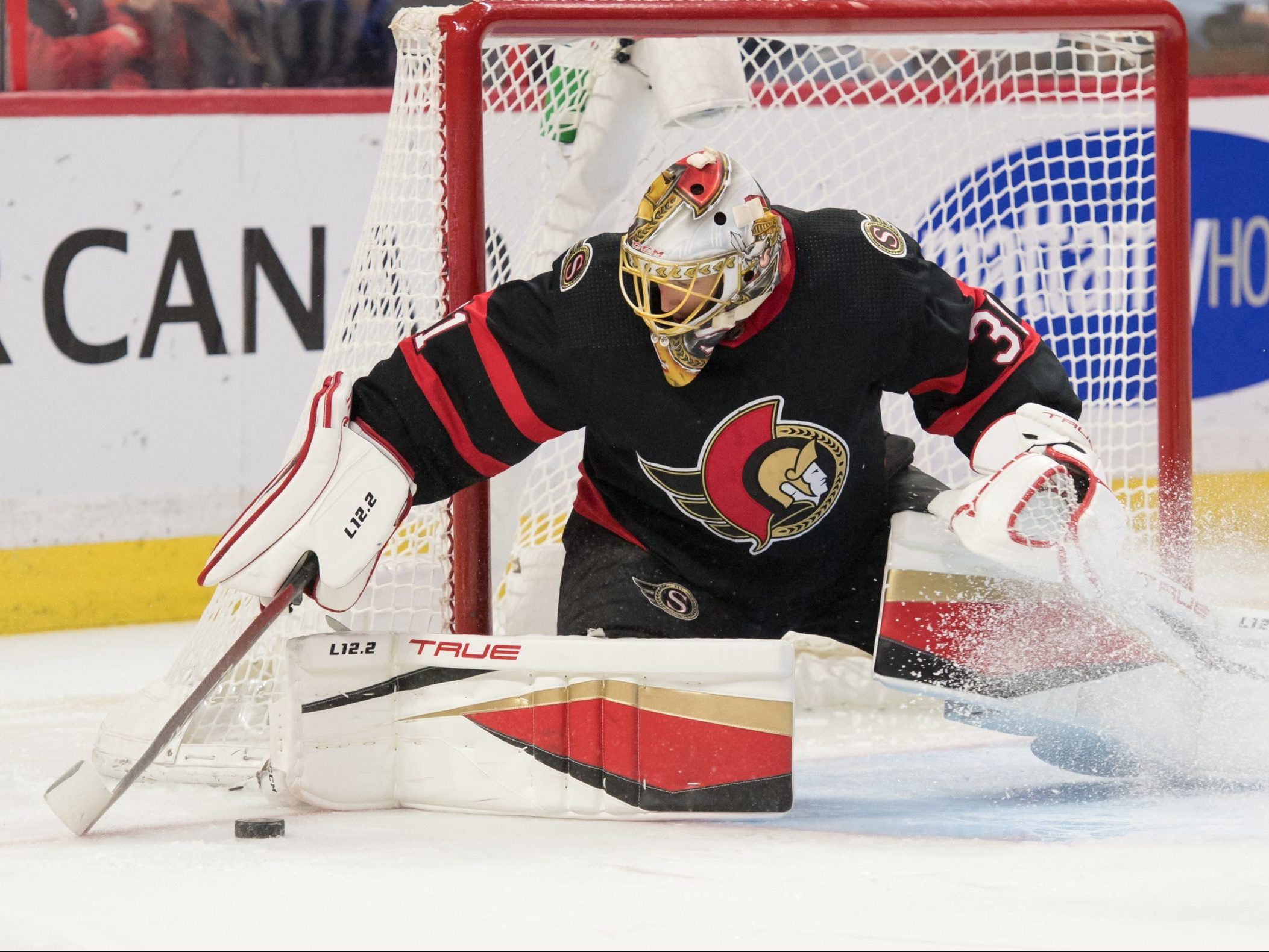 Anton Forsberg has settled in with the Senators and he'd like to stay ...