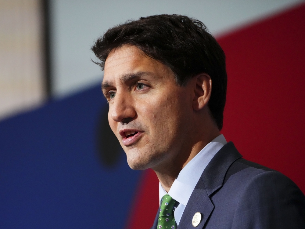 Furey Factor Trudeau Liberals Go After Critics Of Internet Censorship Law Ottawa Sun