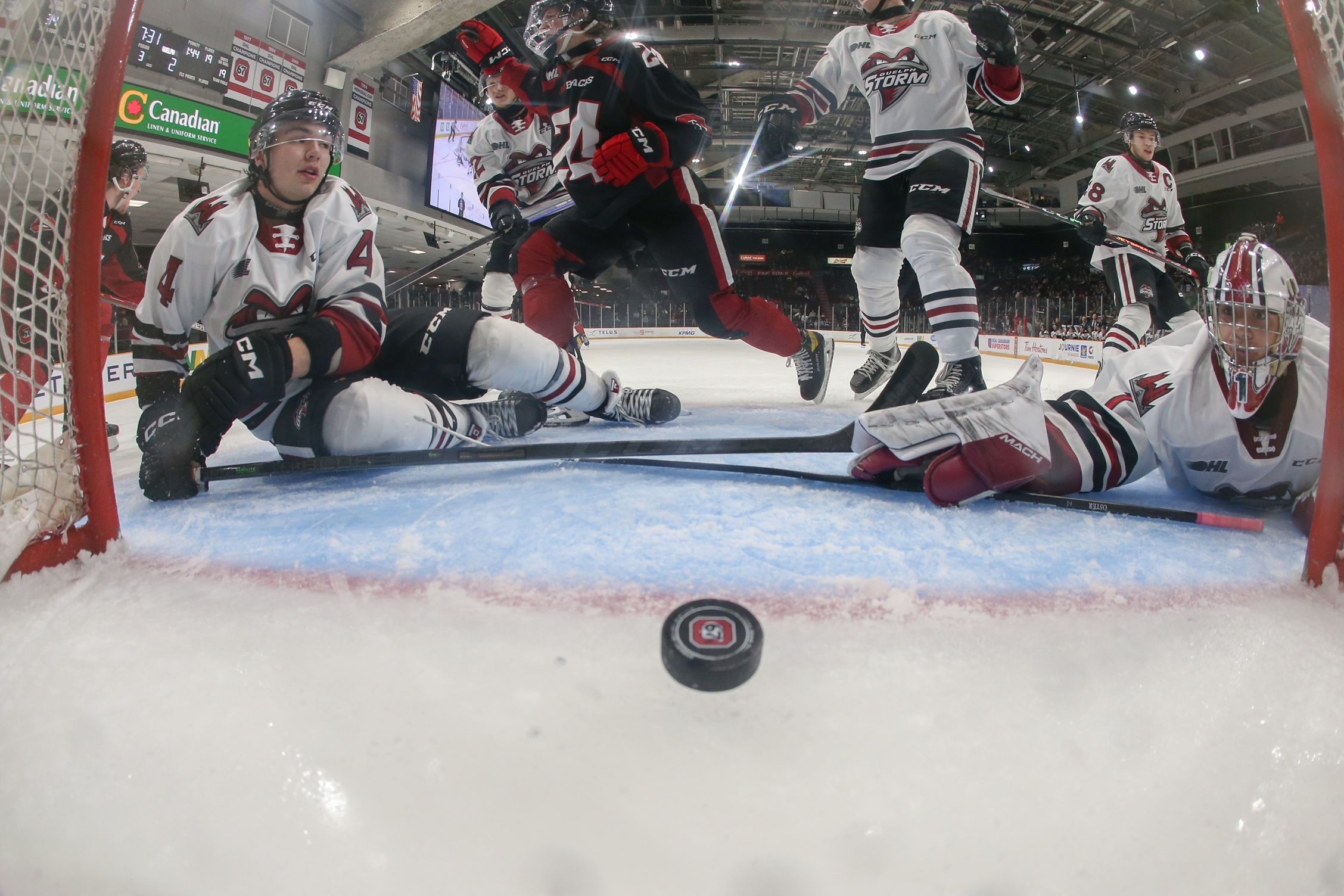 Surging 67's open OHL season with team-record sixth consecutive win ...