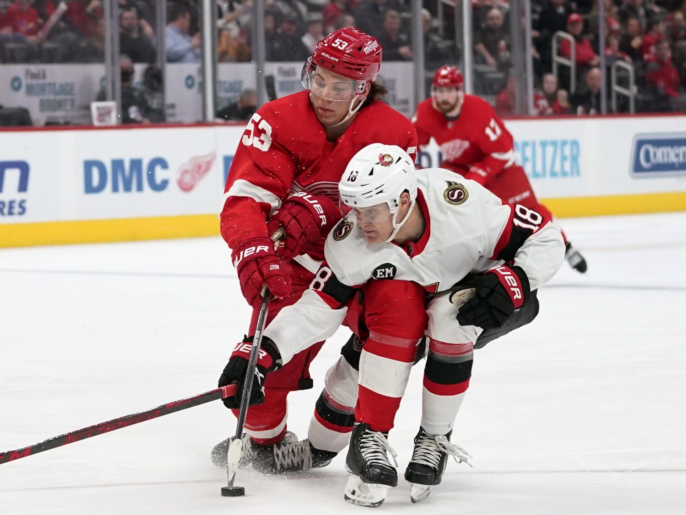 Stutzle, Seider will be the centre of attention as Senators face Wings ...