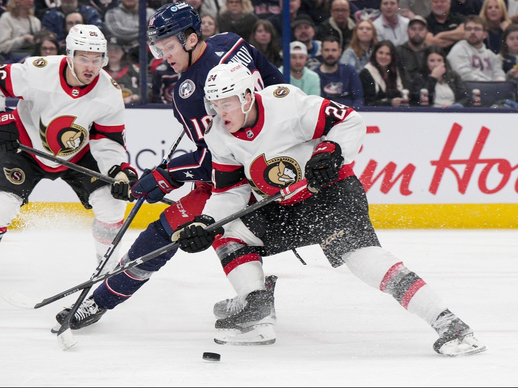 Anton Forsberg saves Ottawa Senators in shootout win over Blue Jackets ...