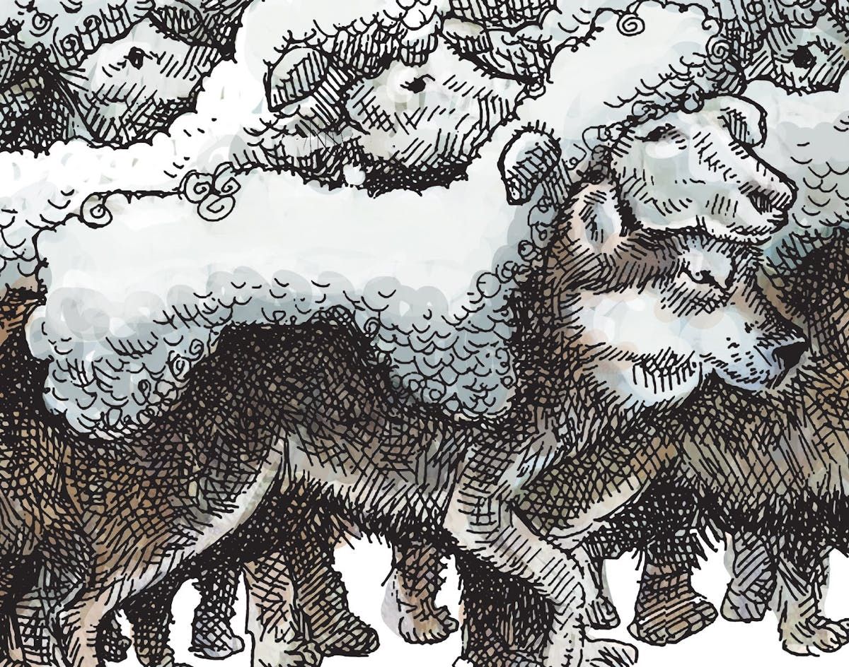 MICHAEL DE ADDER CARTOON: Freedom Convoy pulling wool over our eyes ...