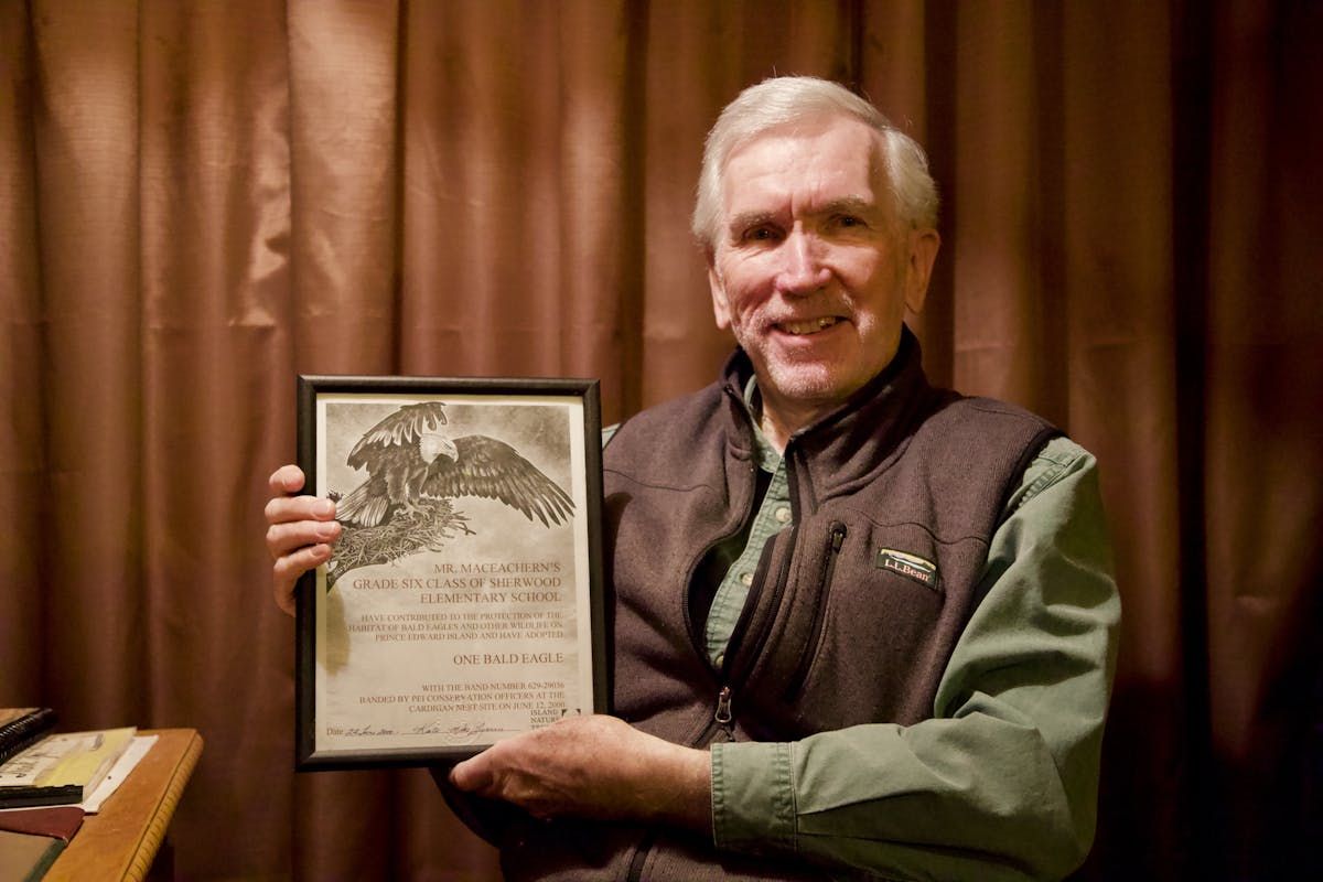 Dead eagle found near Tracadie was banded by P.E.I. elementary students ...