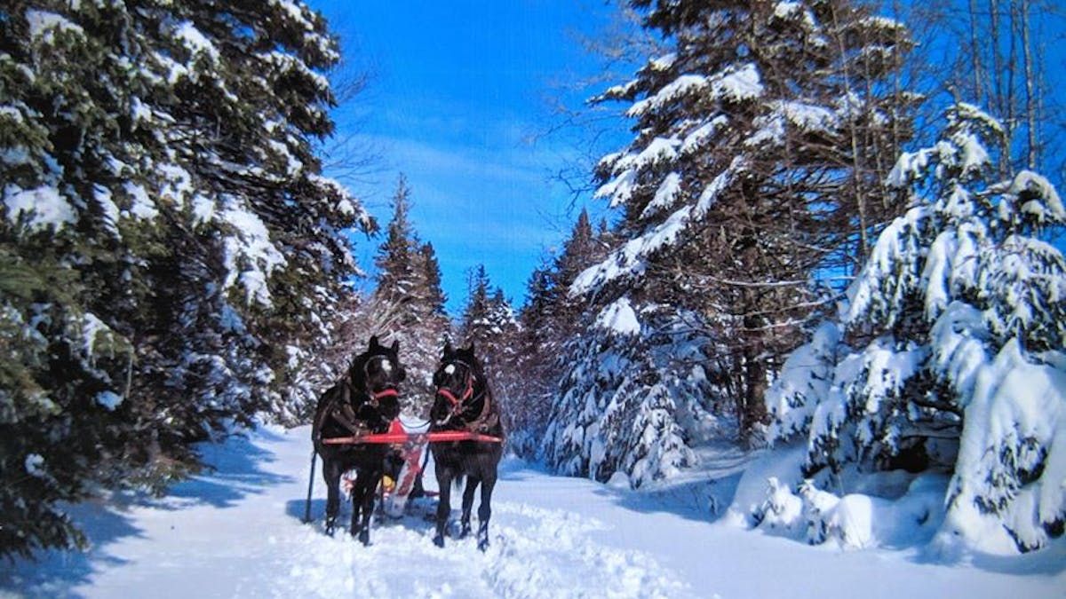 In Praise of Cindy: a poem by Leo Duggan | PNI Atlantic News