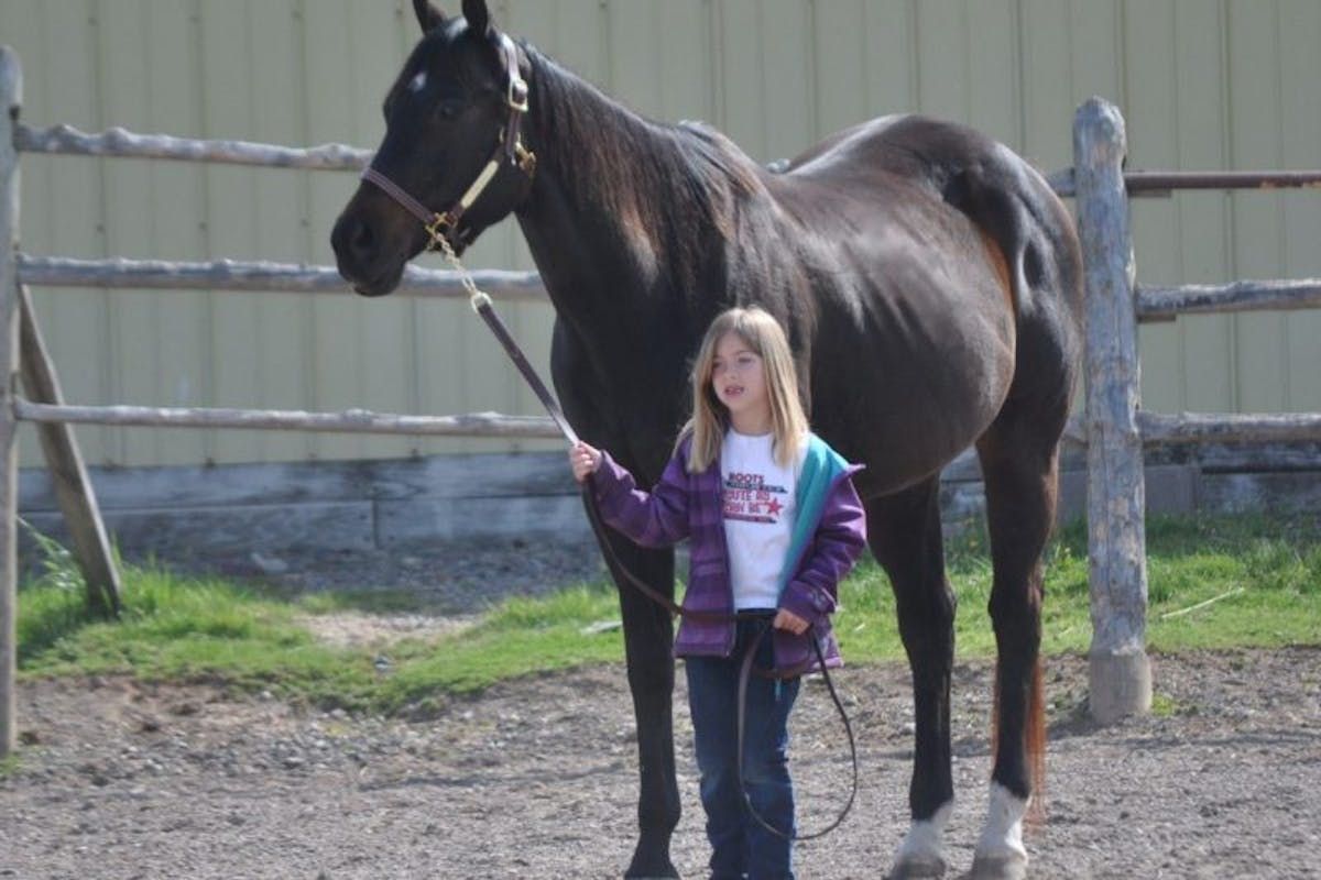 4-H members learn while having fun at showmanship clinic Gallery | PNI ...
