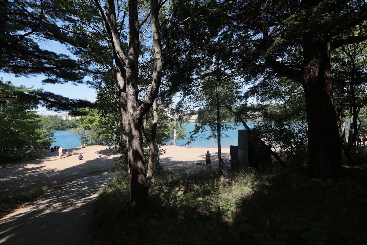 Warning issued about potentially toxic blue-green algae at Chocolate ...