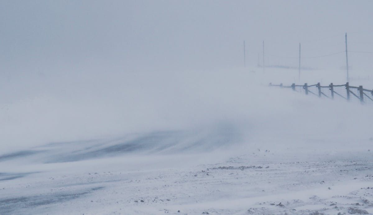 The Telegram's latest tweets as Newfoundland braves a blizzard | PNI ...