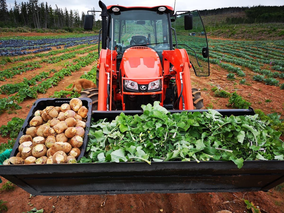 ‘A farm is a local hub’: Buying direct from farmers a win-win situation ...