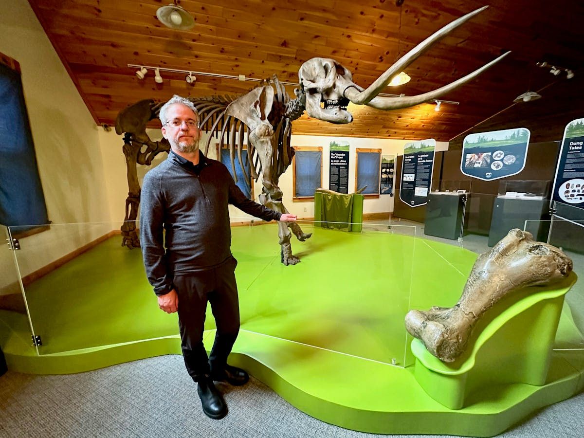 A Q&A: 'Age of the Mastodon' on exhibit at the Yarmouth County Museum ...