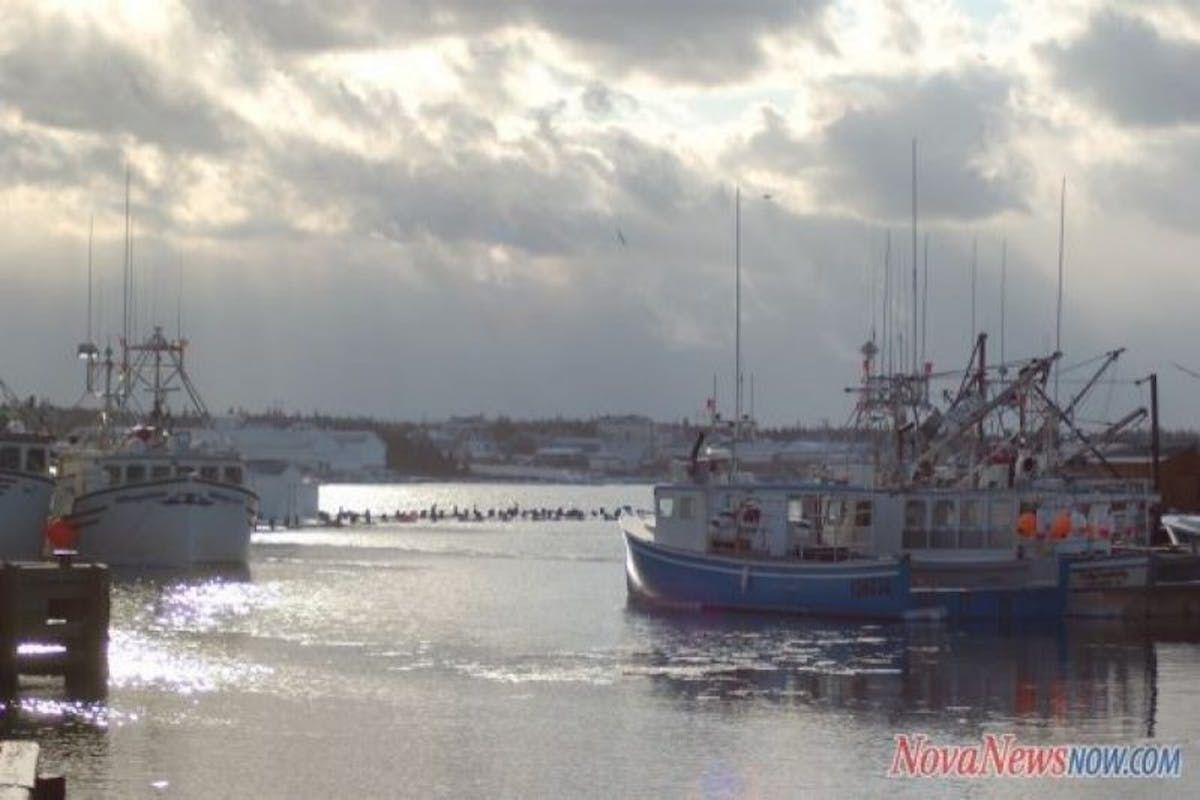A visit to Falls Point Wharf - Woods Harbour Gallery | PNI Atlantic News