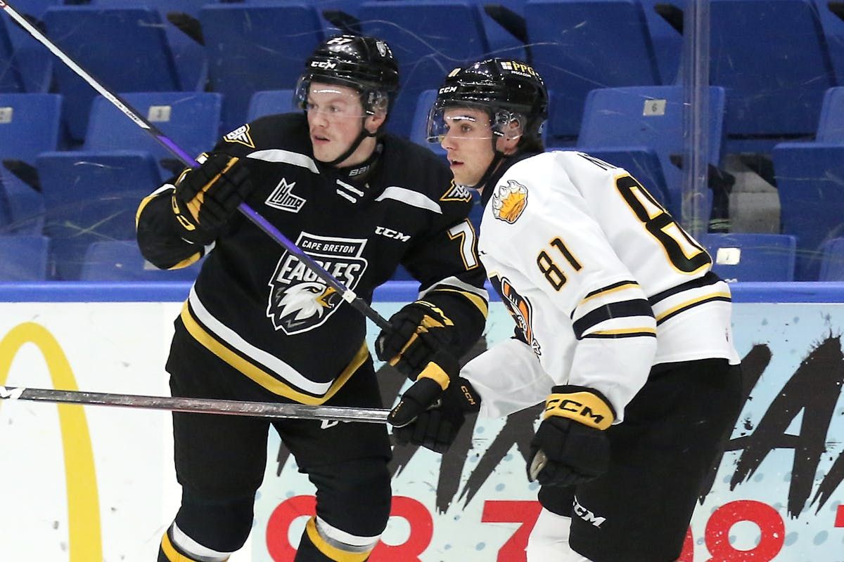 Acadia lands three recruits as hockey Axemen continue retooling for ...