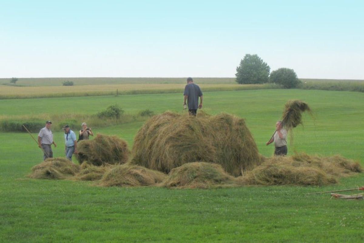 Acadian Days in Grand Pré are about food, music and culture Gallery ...