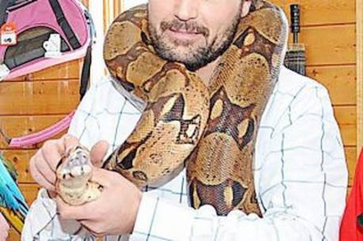 Pet store owner at centre of RNC complaint in jail in Ontario | PNI ...