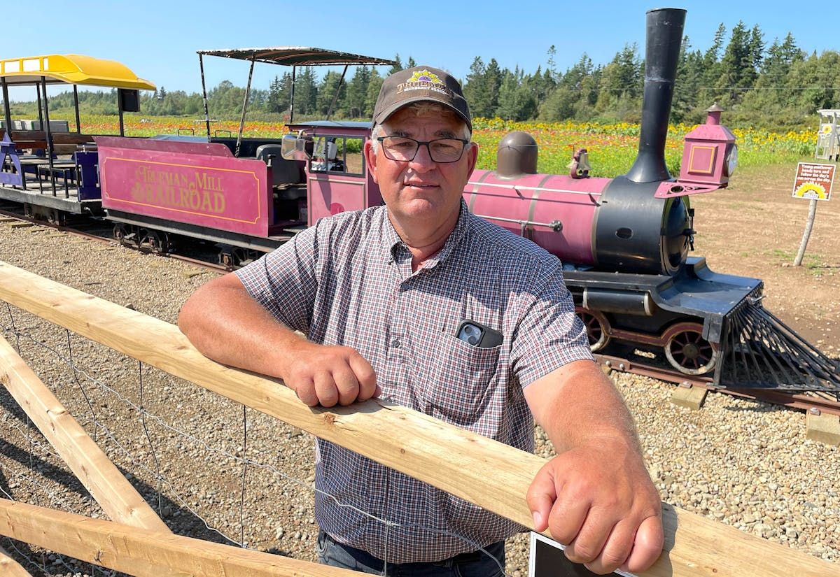 ALL ABOARD: Former Upper Clements Park train carrying passengers again ...