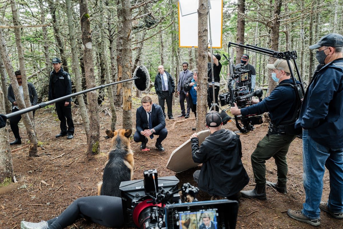 PictureNL looks to homegrown growth in eyeing next milestone | PNI ...