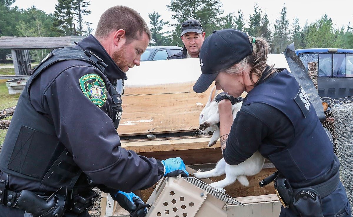 Animal rescues, caring help, widespread during Shelburne County ...