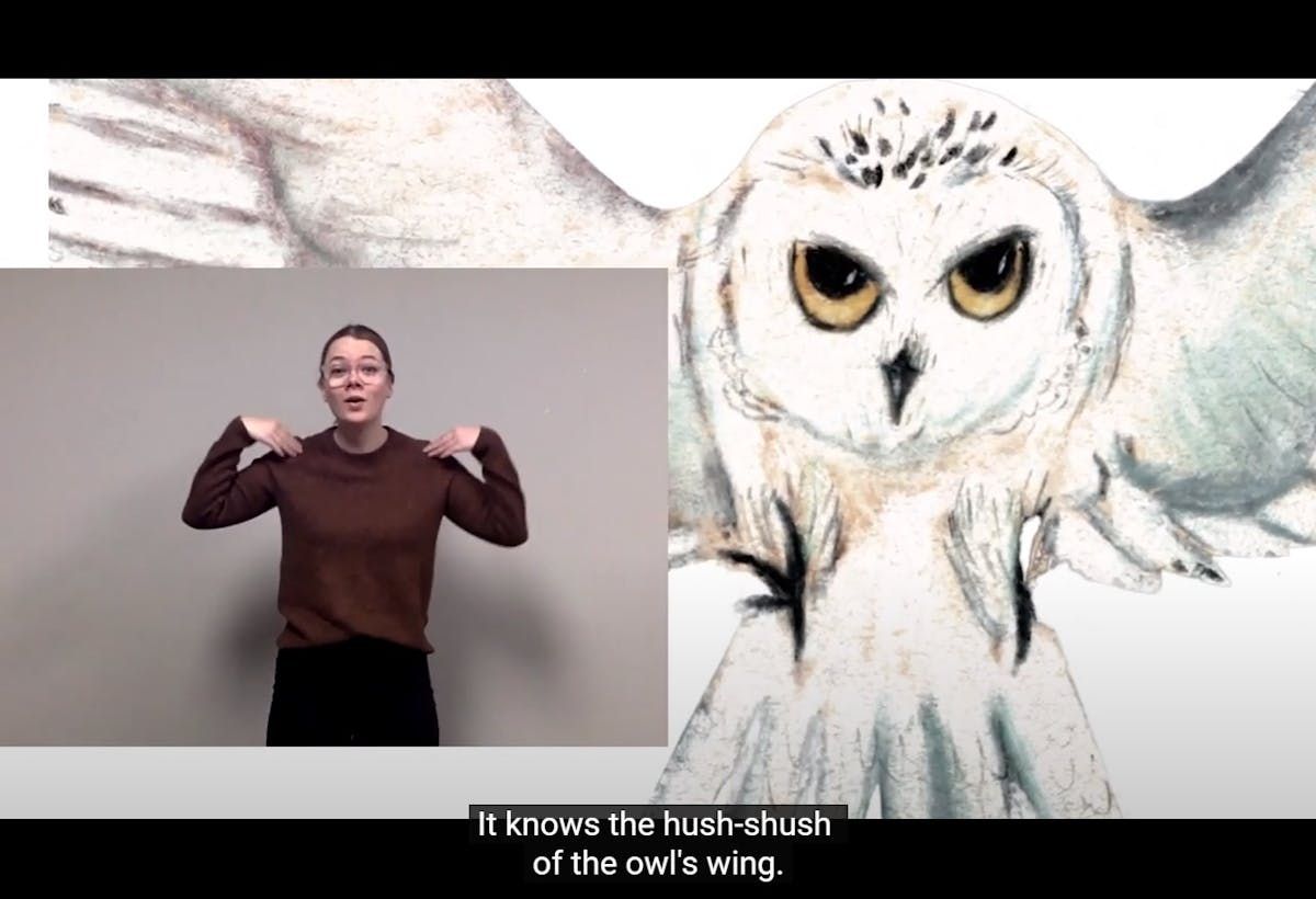 ASL Story Time brings children’s literature to life with sign language ...