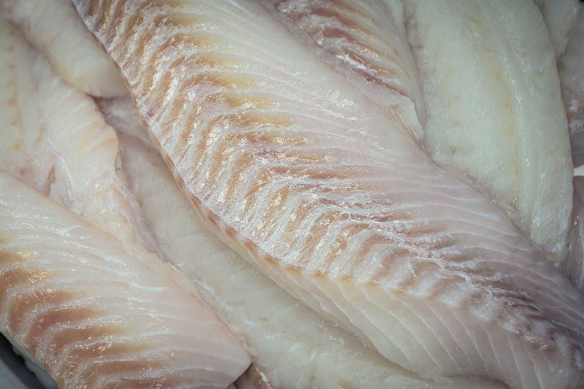 LETTER: Northern cod controversy is about more than just fish | PNI ...