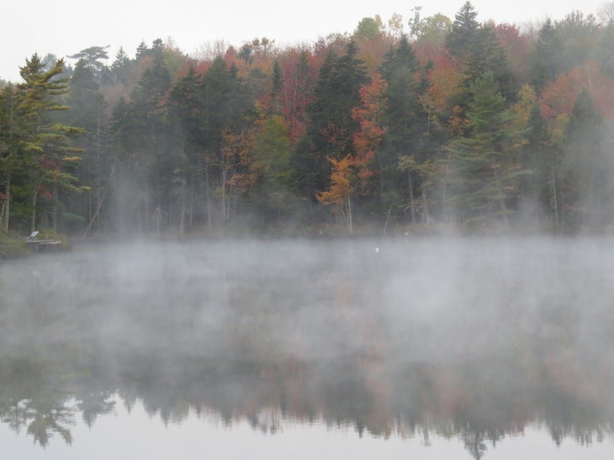 CINDY DAY: The air here is so huggable | PNI Atlantic News